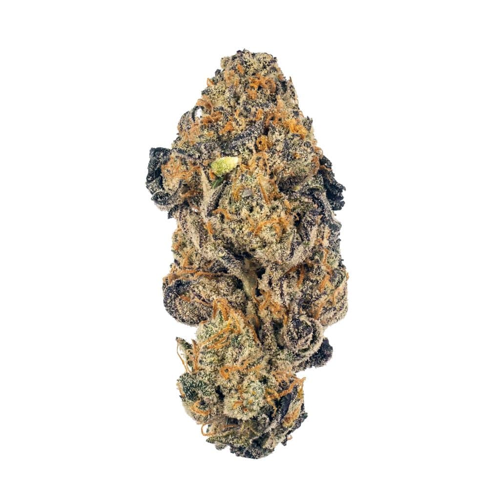 JAMAICAN HASH Fast Delivery - KingCrop